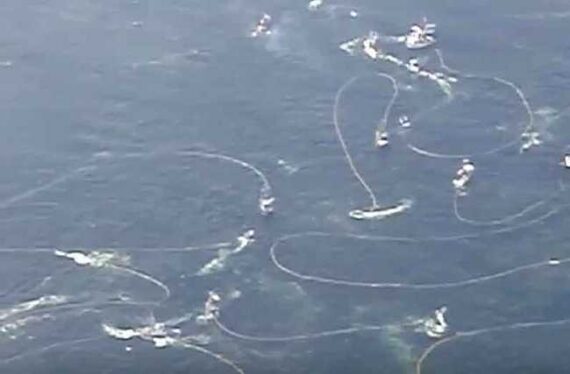 Sitka Sound Herring Fishery Update - Alaska Native News