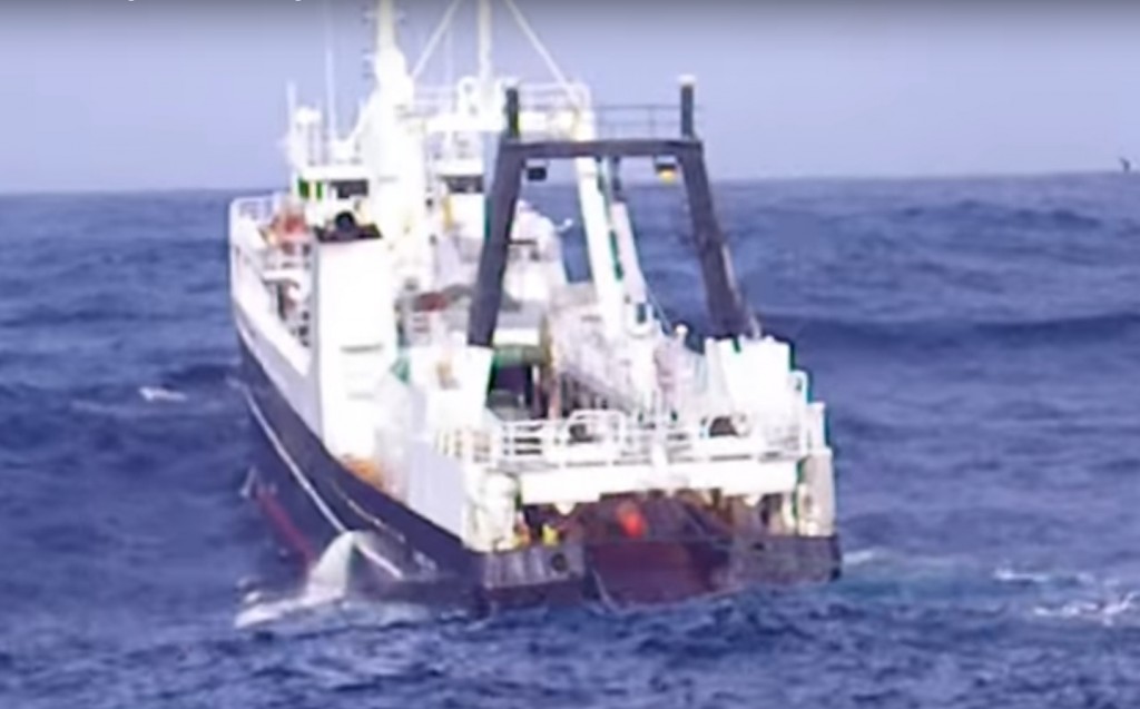 NOAA Fisheries Issues Final Rule for Abundance-Based Management of ...