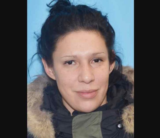 Troopers Seek Homer Woman in Connection to Seward Highway Pullout ...