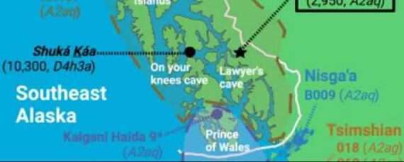 Searching for ancient bears in an Alaskan cave led to an important ...