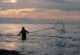 Kasilof River Personal Use Dipnet Fishery Area Expanded – Alaska Native ...