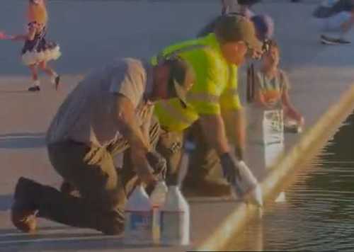 ‘Bad Day to Be a Duck’: Trump Reflecting Pool Disaster Continues With ...
