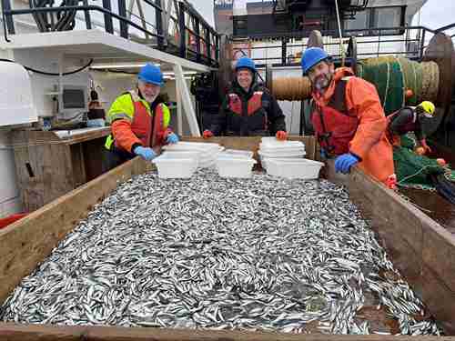 Alaska Native News – News in the Last Frontier